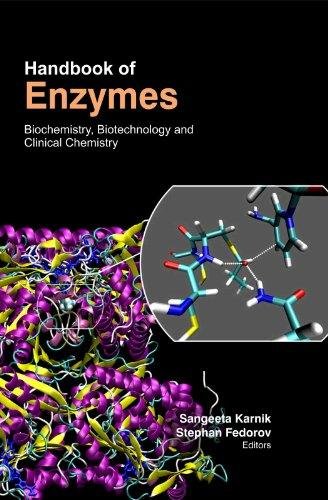 Handbook Of Enzymes: Biochemistry, Biotechnology And Clinical Chemistry ...