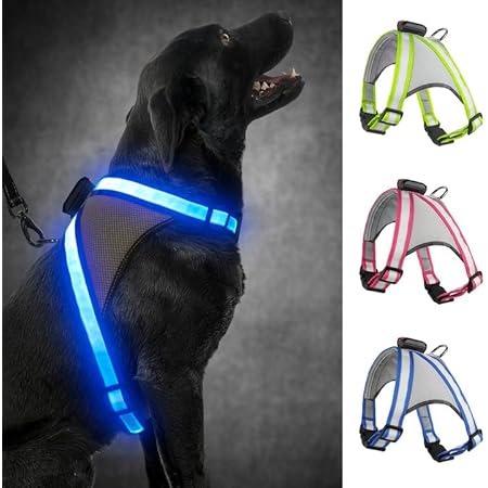 Amazon.com : Visinite LED Dog Harness, USB Rechargeable Light Up Dog ...