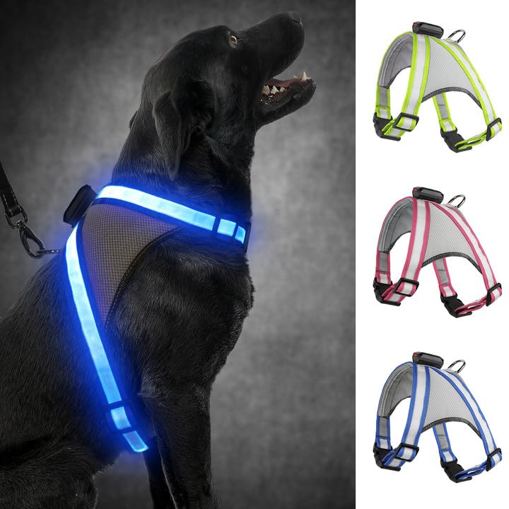 Amazon.com : Visinite LED Dog Harness, USB Rechargeable Light Up Dog ...