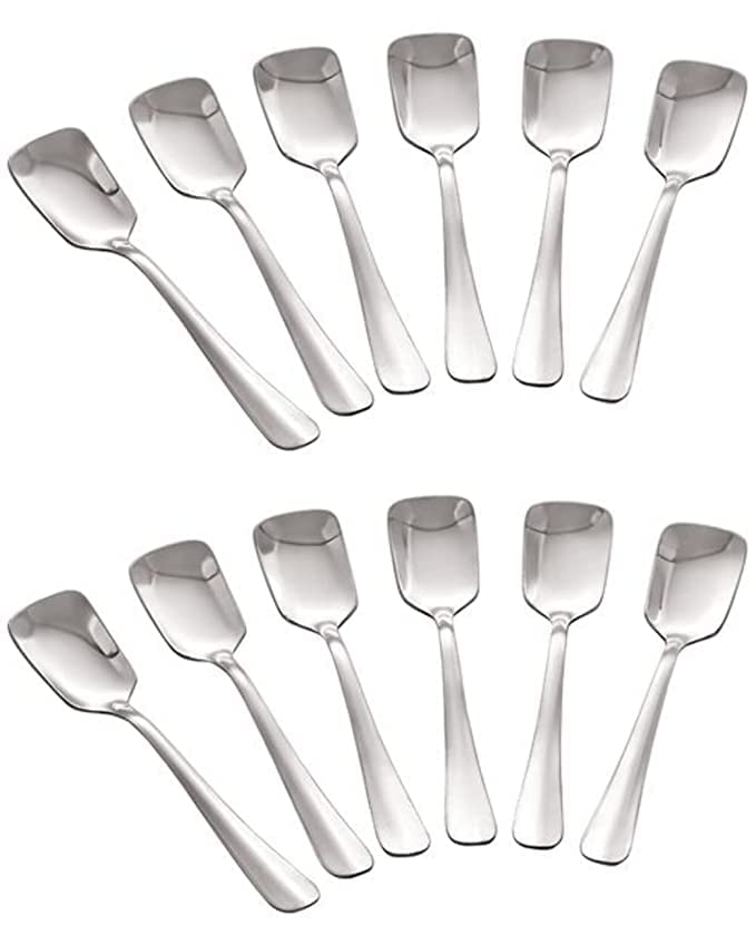 Buy Caridge Stainless Steel Set of 12 Pcs Ice-Cream Spoons, Silverware ...