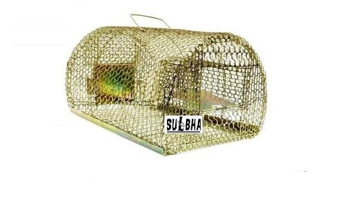 Sulbha Rat Trap Cage,Mouse and Mice Rat Catcher Cage,Rat Tray, Rodent ...