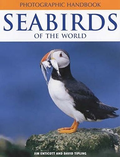 Seabirds of the World (Photographic Handbooks): Amazon.co.uk: Enticott ...