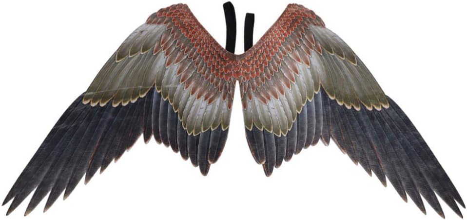 Amosfun Costume de Aigle Ailes Déguisement de Ailes d'ange Costume de ...