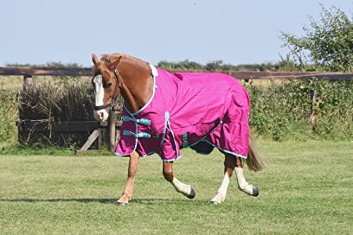 Equestrian King Lightweight No Fill Turnout Horse Rug 600D Standard And ...