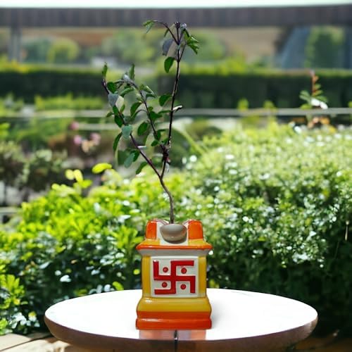 Niyara Large Tulsi Ceramic Pot Medium Sized for Indoor, Outdoor,Home ...