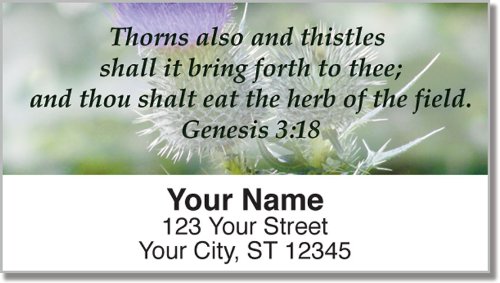 Scripture and Nature Address Labels: unknown author: Amazon.com: Office ...