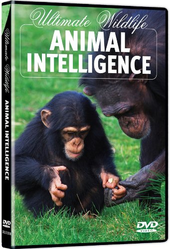 Amazon.com: Ultimate Wildlife: Animal Intelligence : Various, Various ...