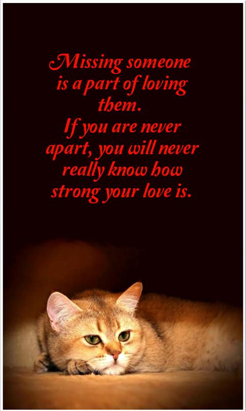 Missing My Cat Quotes Do Cats Get Sad, Depressed? Can They Grieve Or