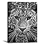 Amazon.com: Leopard Canvas Prints Black Background Golden Wildlife ...