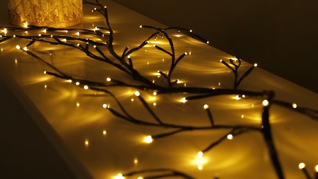 Ciskotu Twig String Lights