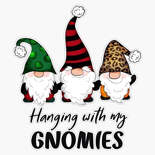 Amazon.com: Vision Signs Hanging With My Gnomies Sticker Bumper Sticker ...