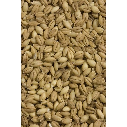 Amazon.com : Organic Hulled Barley - 6 x 15 ounce units : Grains ...