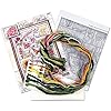 Design Works Floral ABC : Amazon.co.uk: Books