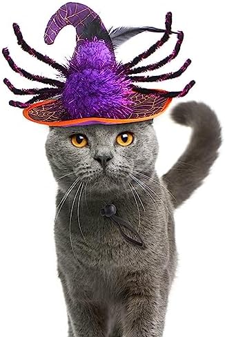 Amazon.com : Dzrige Halloween Cat Witch Hat Dog Witch Hat,Funny Pet ...