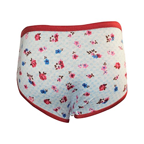 LILSUGAR GIRLS PANTY SET OF 3 : Amazon.in: Clothing & Accessories