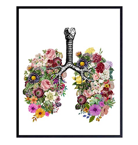 Amazon.com: Vintage Lungs Wall Decor Picture Poster - Contemporary ...
