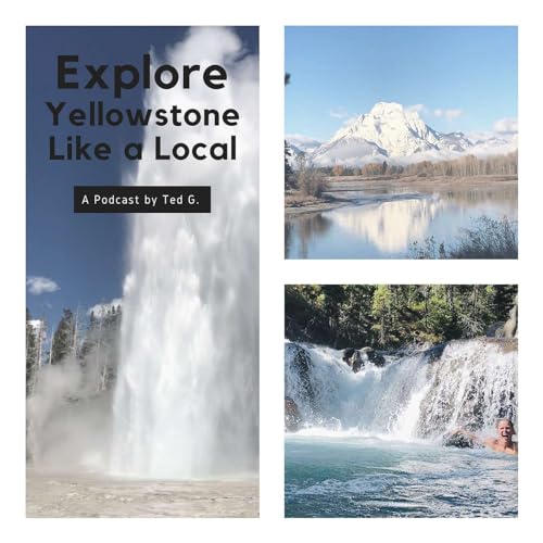 Amazon.com: Explore Yellowstone Like a Local! Save TIME & MONEY on your ...