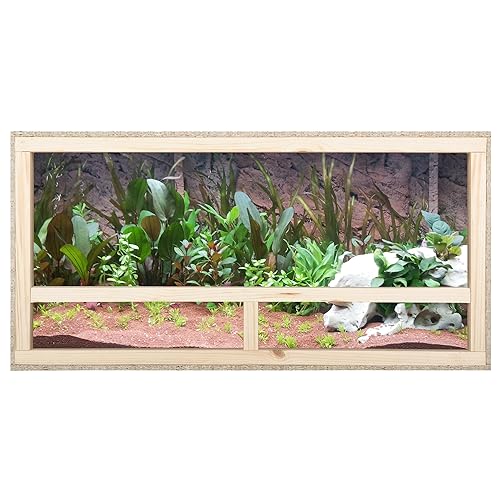 Armando tu kit terrario para tortugas de tierra - Mi Hogar