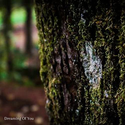 Amazon.co.jp: Dreaming Of You : Simone Del Freo: Digital Music