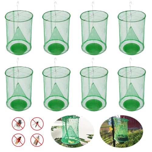 Best Reusable Fly Traps: Effective Solutions for a Pest-Free Home ...