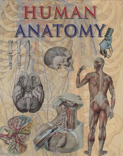 Human Anatomy: Amazon.co.uk: 9781844061266: Books