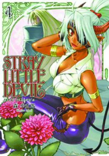 Amazon.com: Stray Little Devil Volume 4: 9781597960465: Mori, Kotaro: Books