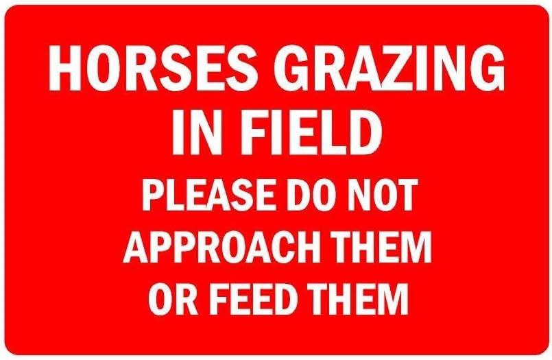 Horses grazing in field please do not approach them or feed them safety ...