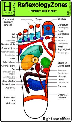 Reflexology Therapy - Sole of Foot - Medical Card: Hawelka ...