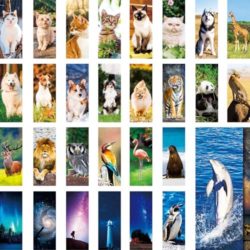 Amazon.com: 120 PCS Animal Bookmarks, 30 Designs Double-Sided Printing ...