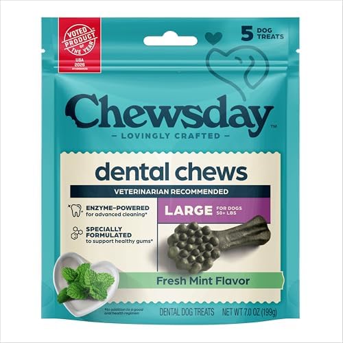 Amazon.com: Chewsday Masticables dentales con sabor a menta fresca ...