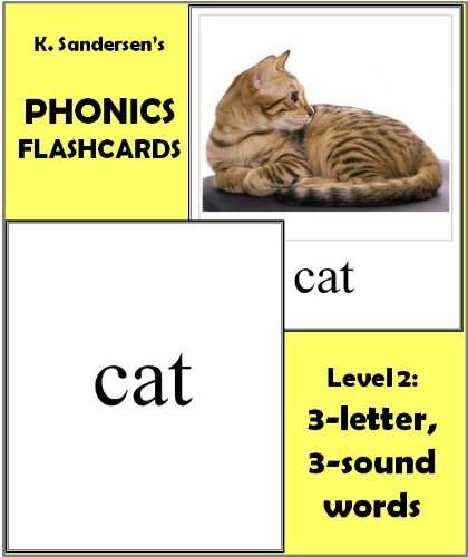 Amazon.com: Phonics reading flashcards: 3-letter, 3 sound words ("dog ...