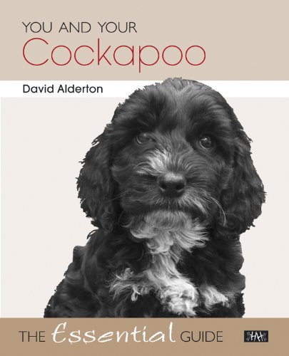You and Your Cockapoo – The Essential Guide (Your and Your …) eBook ...