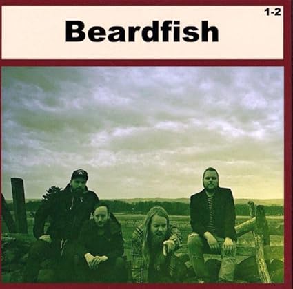 Amazon.co.jp: 【MP3-CD】 Beardfish ビアードフィッシュ Part-1-2 2CD 8アルバム収録 : おもちゃ