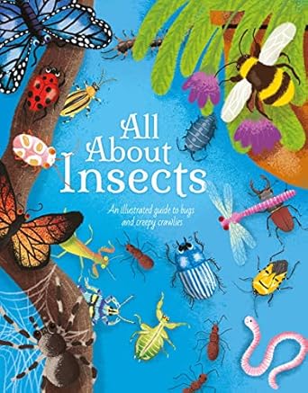 All About Insects: 9781398811171: Books - Amazon.ca
