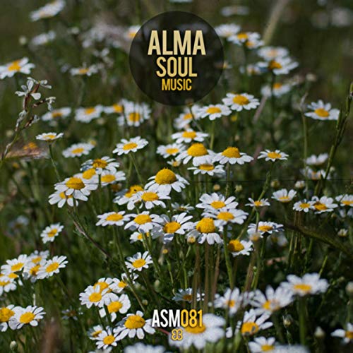 Amazon.com: Luz : David Mariscal: Digital Music