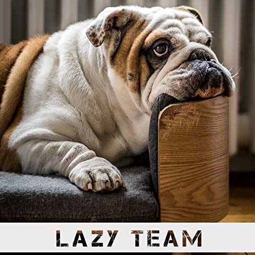 Amazon.com: Lazy Team : VARIOUS ARTISTS: Digital Music
