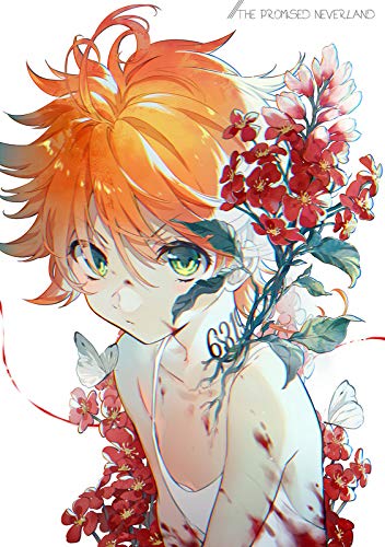 The Promised Neverland - A Japanese Anime Series Poster Matte Finish ...