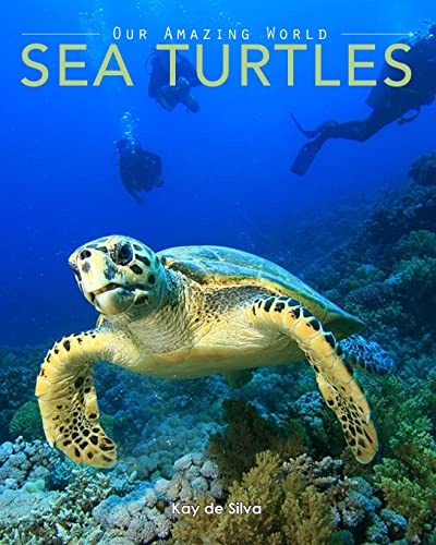 The Best Sea Turtle Books for Toddlers and Preschoolers