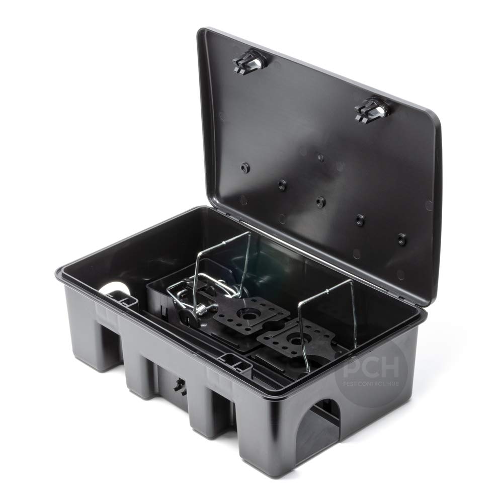Buy Mastertrap MX Rat and Mouse Bait Station Box with Two Snap Traps ...
