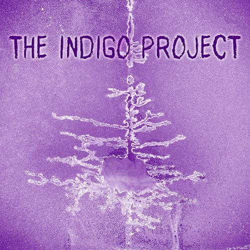 Amazon Music Unlimited - The Indigo Project 『The Indigo Project』
