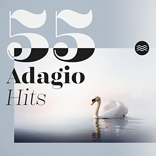 Play 55 Adagio Hits by VARIOUS ARTISTS on Amazon Music
