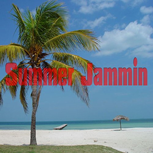 Amazon.com: Summer Jammin : VARIOUS ARTISTS: Digital Music