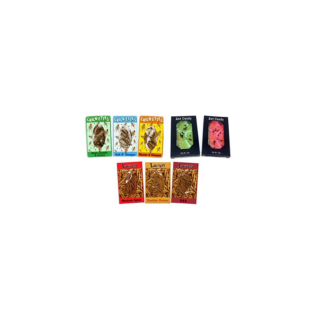 Insect Snacks and Candies