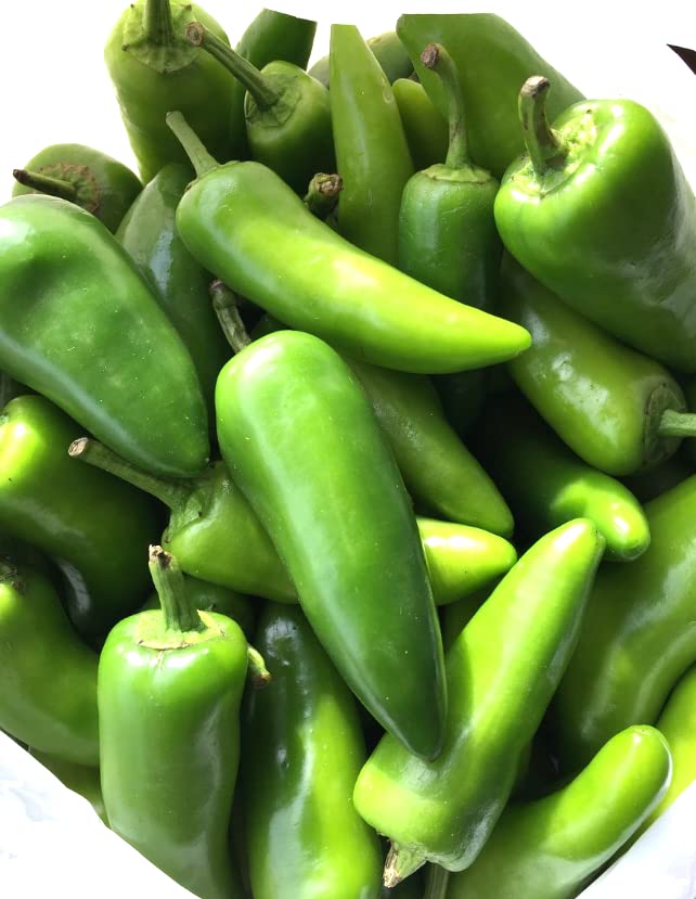 Vinca Art Green Chilli Bullet F1 Hybrid Seeds Spicy Mirchi Sambar ...