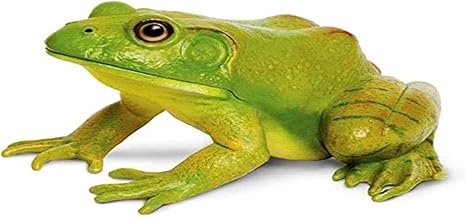 Amazon.com: Safari Ltd. American Bullfrog Figurine - Realistic 4.75 ...