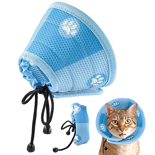 Migliori collare di elisabetta per gatti - Guida alla scelta