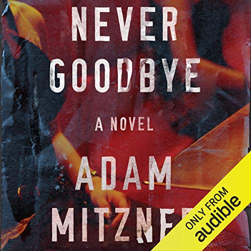 Amazon.com: Dead Certain: A Novel (Audible Audio Edition): Adam Mitzner ...