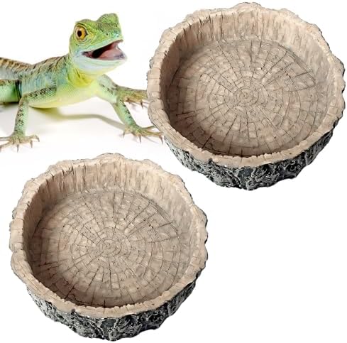 Amazon.com : Small Reptile Food Dish 2 Pack - Novelty Feeding Bowl for ...