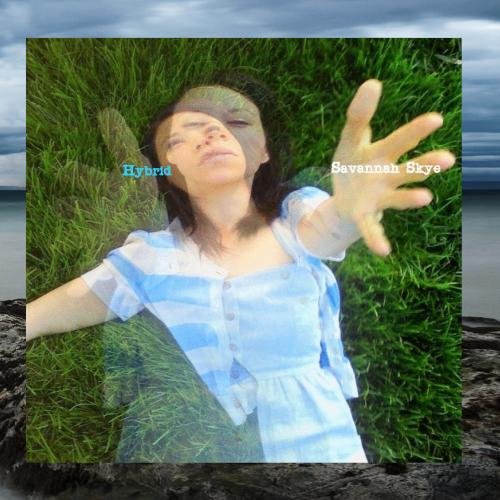 Amazon.com: Hybrid: CDs & Vinyl