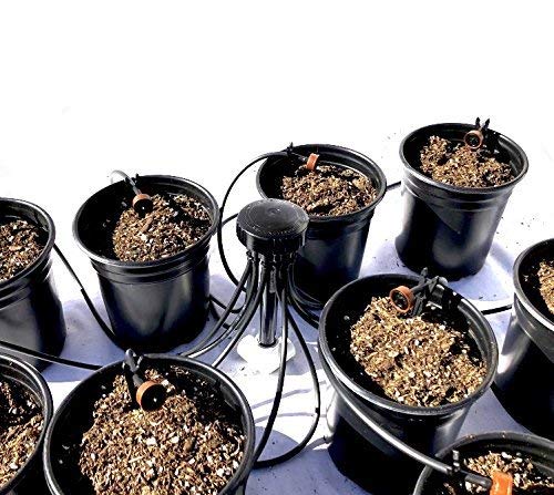 The Guide to Finding the Best Hydroponic System for Your Plants